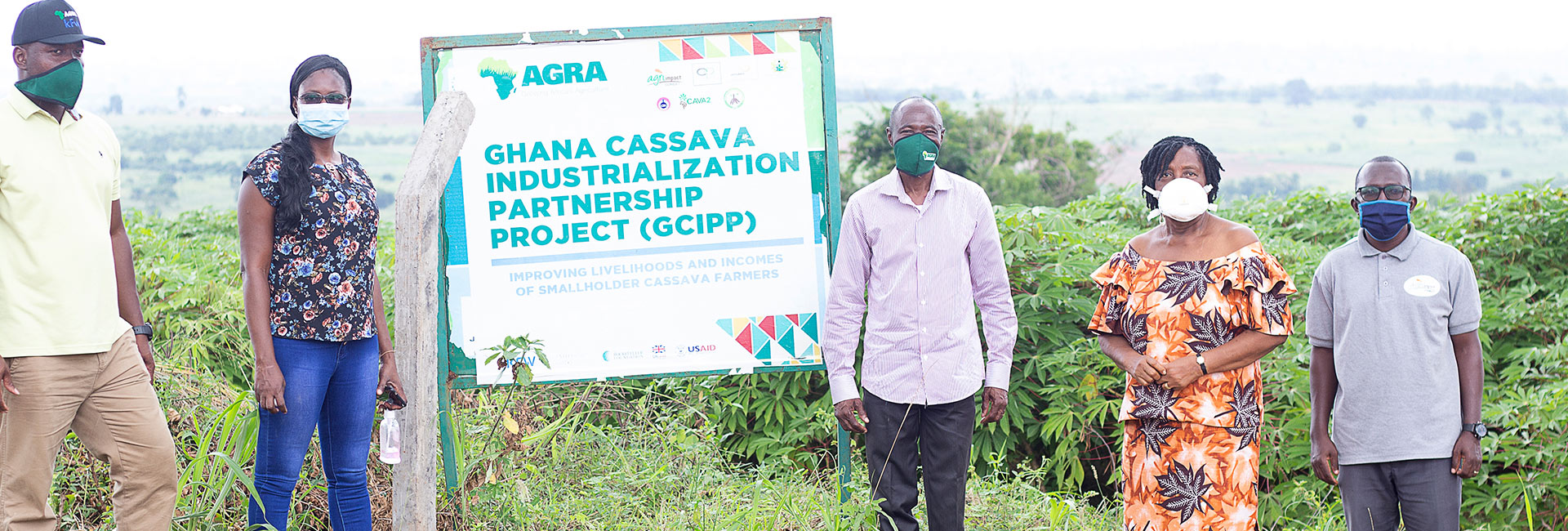 Ghana Cassava Industrialisation and Partnership Project-(GCIPP) | Agri-Impact Group