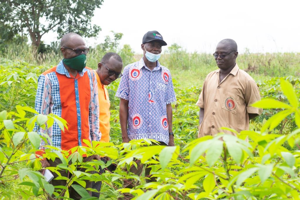 Agribusiness in Sustainable Natural African Plant Products (ASNAPP ...